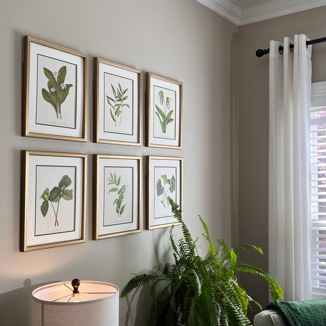 Framed Botanical Prints -Set of 6-1978 Wild Flower Prints | Chairish