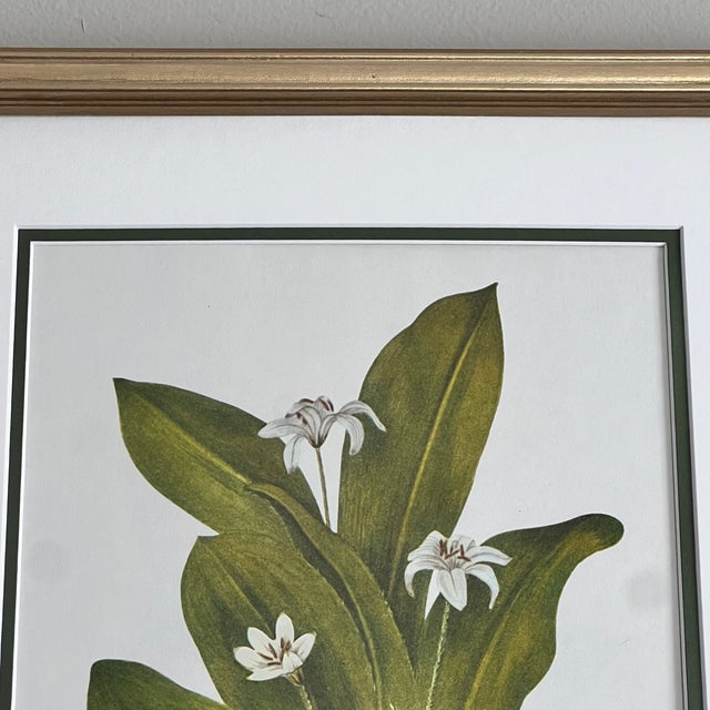 Framed Botanical Prints -Set of 6-1978 Wild Flower Prints | Chairish