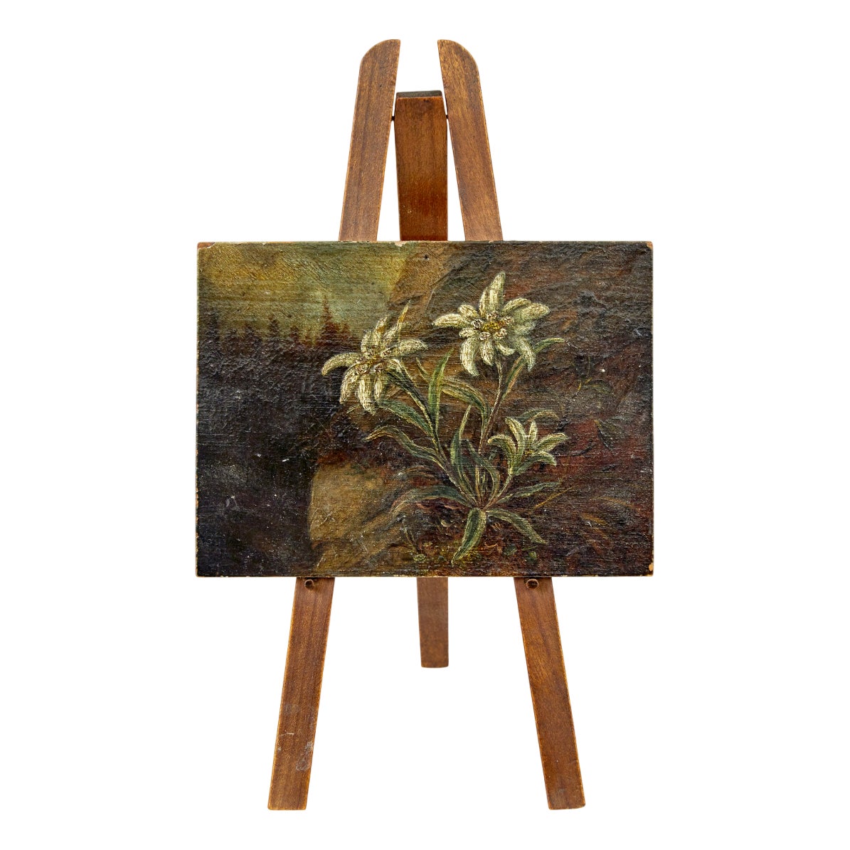 19th Century Miniature Oil on Board Painting of Edelweiss, 1880 | Chairish