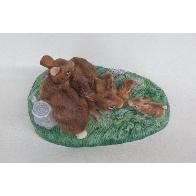 Royal Windsor Eastern Cottontail Rabbit Southern Forest Families ...