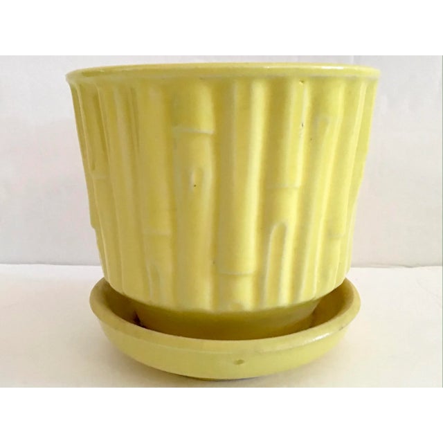 Small Faux Bamboo Yellow Glaze Ceramic Cachepot | Chairish