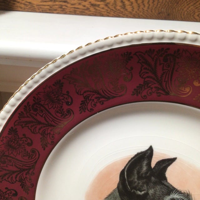 Vintage Solian Ware Simpson's Potters Ltd Cobridge England Schnauzer ...