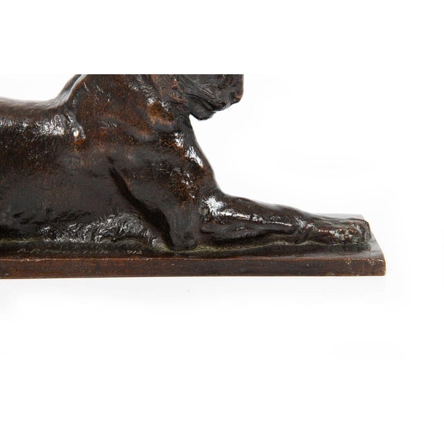 Rare American Sculpture of “Princeton Tiger” by Alexander Phimister ...