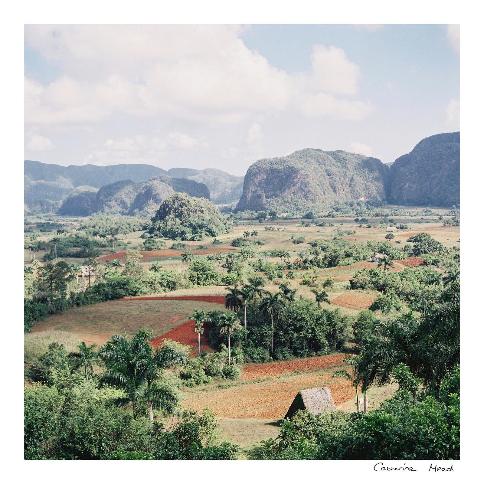 "Jurassic Plains" Contemporary Photograph Fine Art Print by Catherine ...