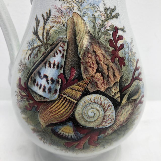 Antique 1860 Prattware Seashell & Seaweed Pitcher | Chairish