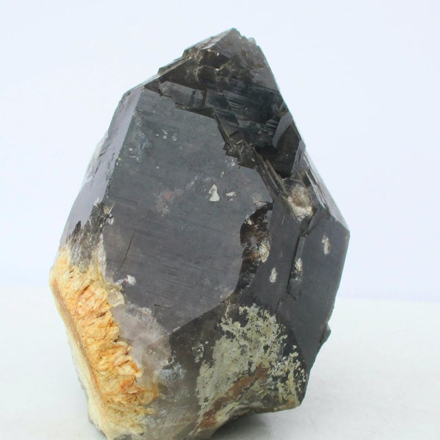Mineral Specimen Black Quartz Crystal | Chairish