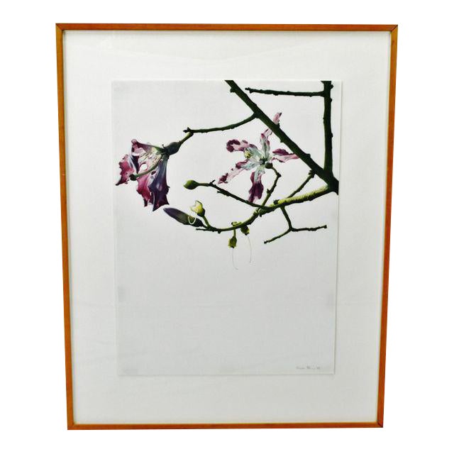 Vintage Framed Susan Fox Magnolia Tree Style Watercolor - Pencil Signed ...