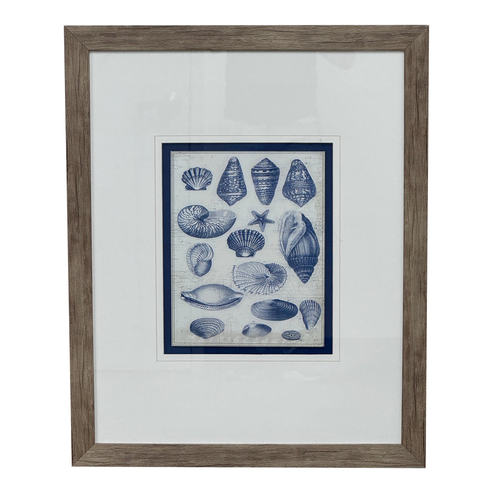 Custom Framed Blue & White Nautical Style Seashell Print | Chairish