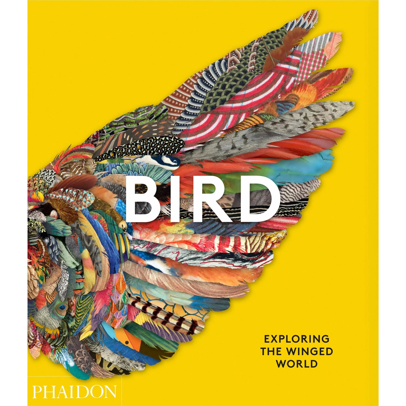 Bird: Exploring the Winged World Book | Chairish