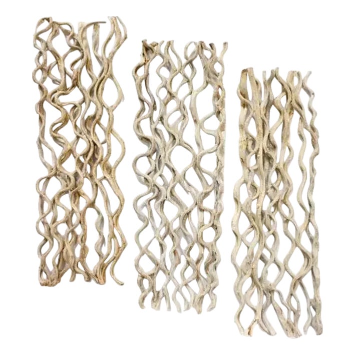 Vine Wall Art Organic Dimensional Set of Three Natural Vine | Chairish
