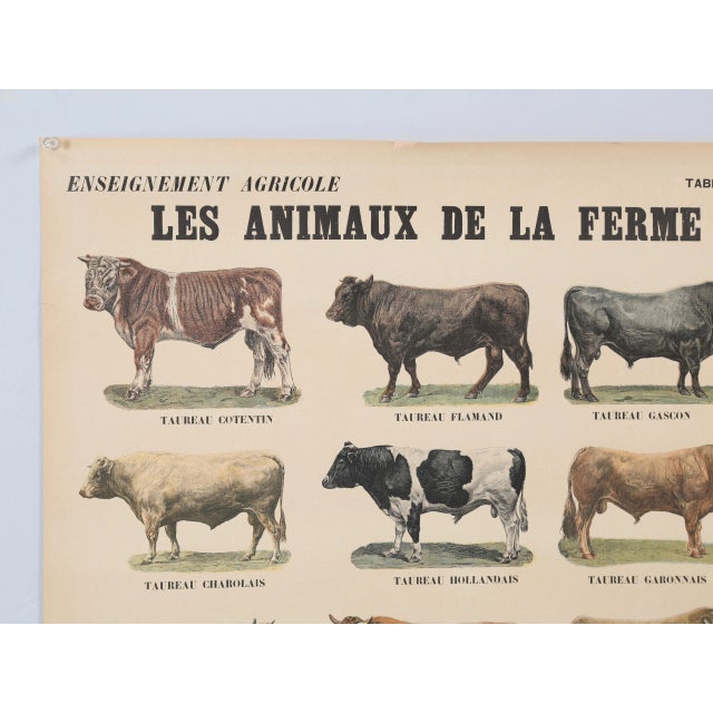 Old French Poster of Farm Animals Great for Country French Kitchen From ...
