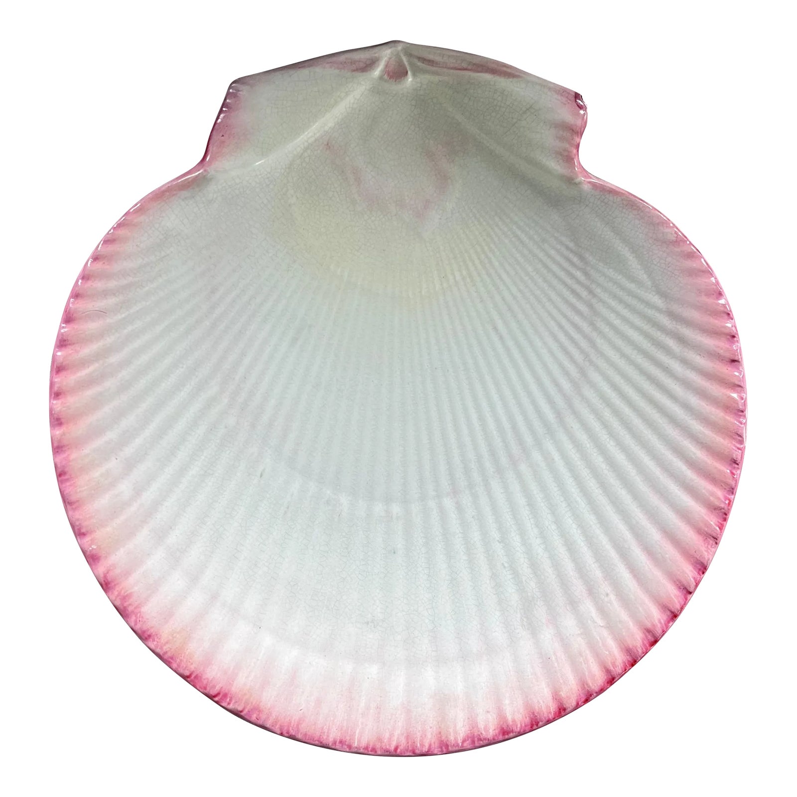 Antique 19th Century Wedgwood Pink Nautilus Pearlware Scallop Shell ...
