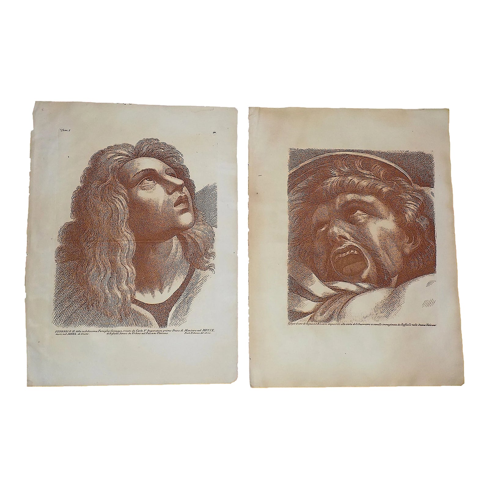 Antique 18th Century Elephant Folio Sepia Etchings After Raphael - a ...