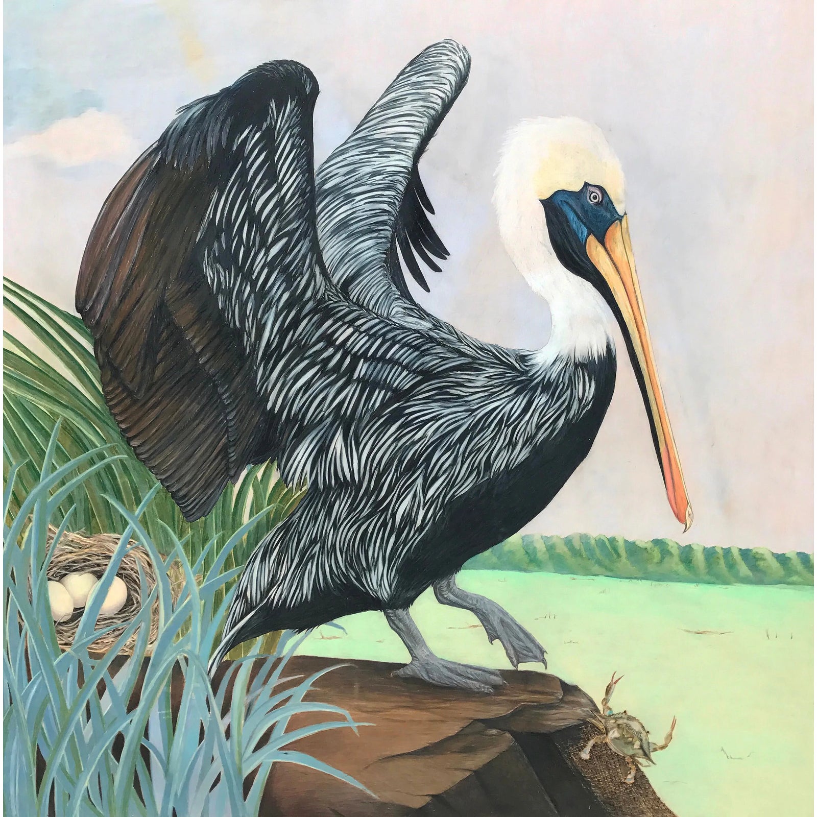 Pelican by Natalie Erwin, Original Painting (48x48) | Chairish