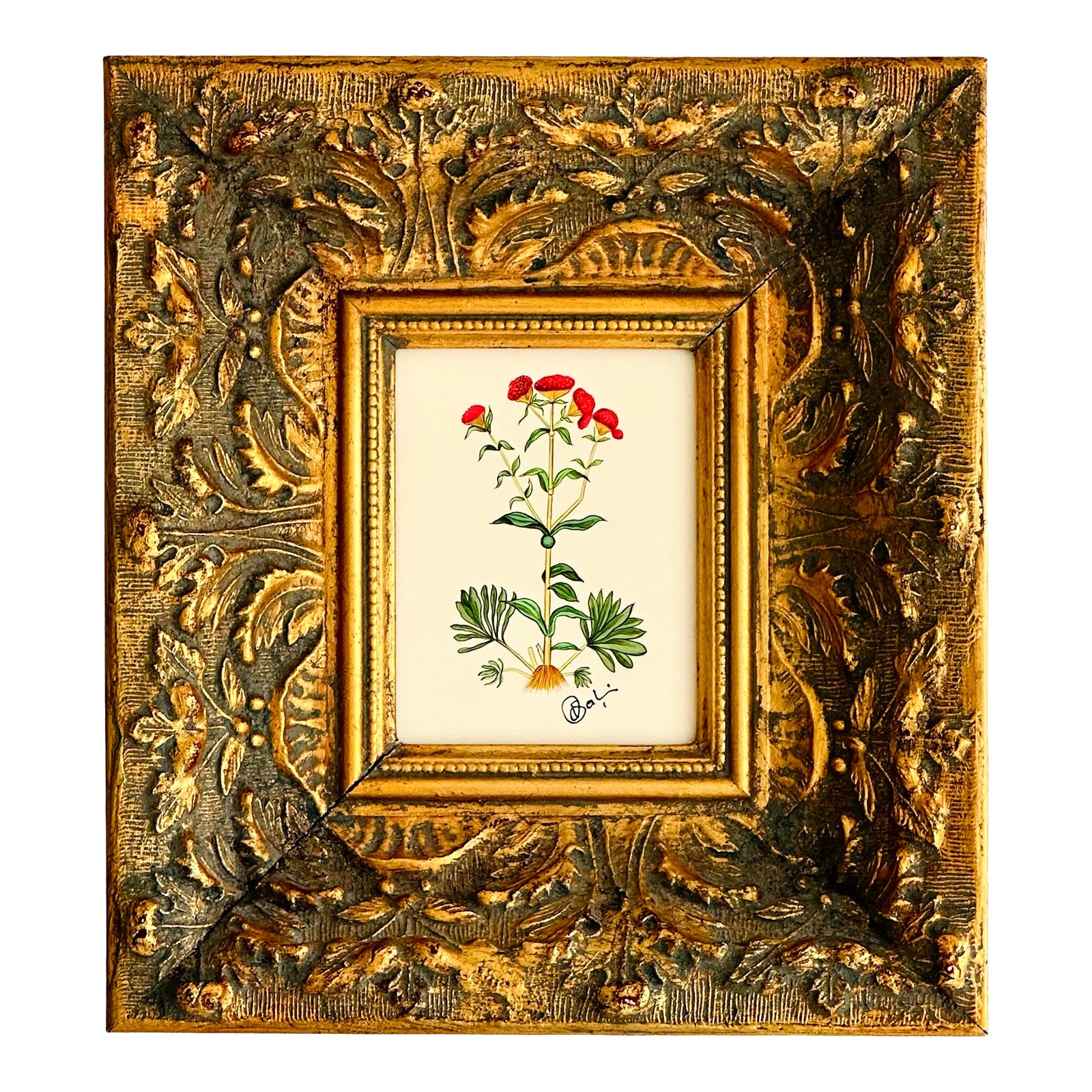 Original Hand-Painted Botanical Painting in a Vintage Gilt Frame | Chairish