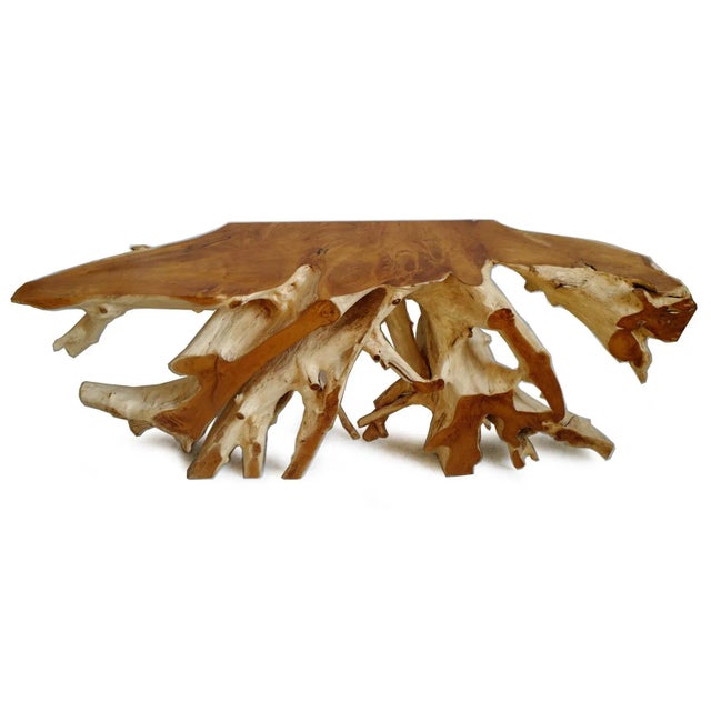 Modern Organic Teak Root Console Table | Chairish