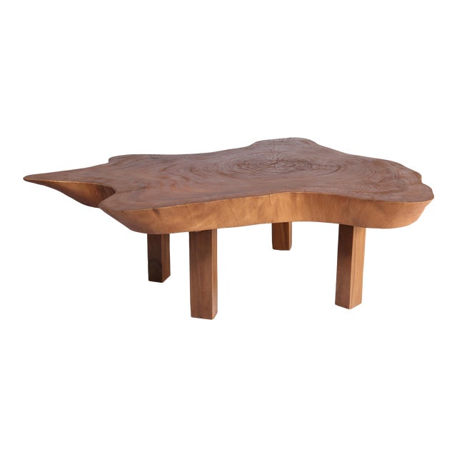 Modern Brown One Slab Living Edge Coffee Table 59 | Chairish