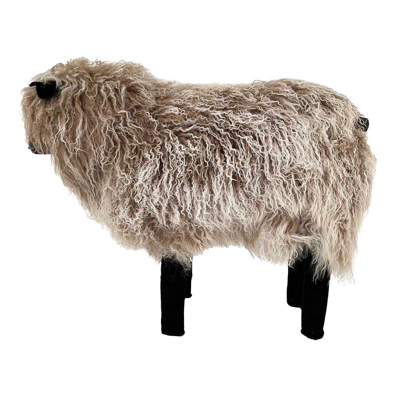 Tibetan Lamb Sheep in Taupe Tip - Large | Chairish