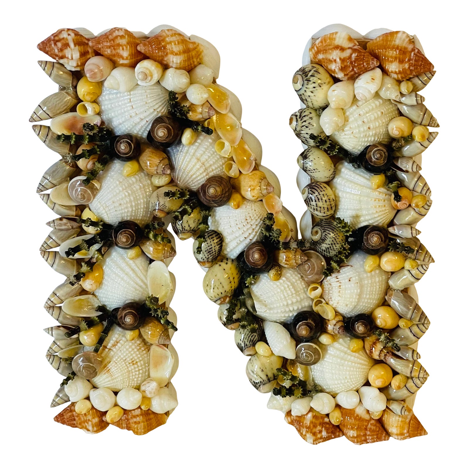 Sea Shell Letter N in Tony Doucquett Style | Chairish
