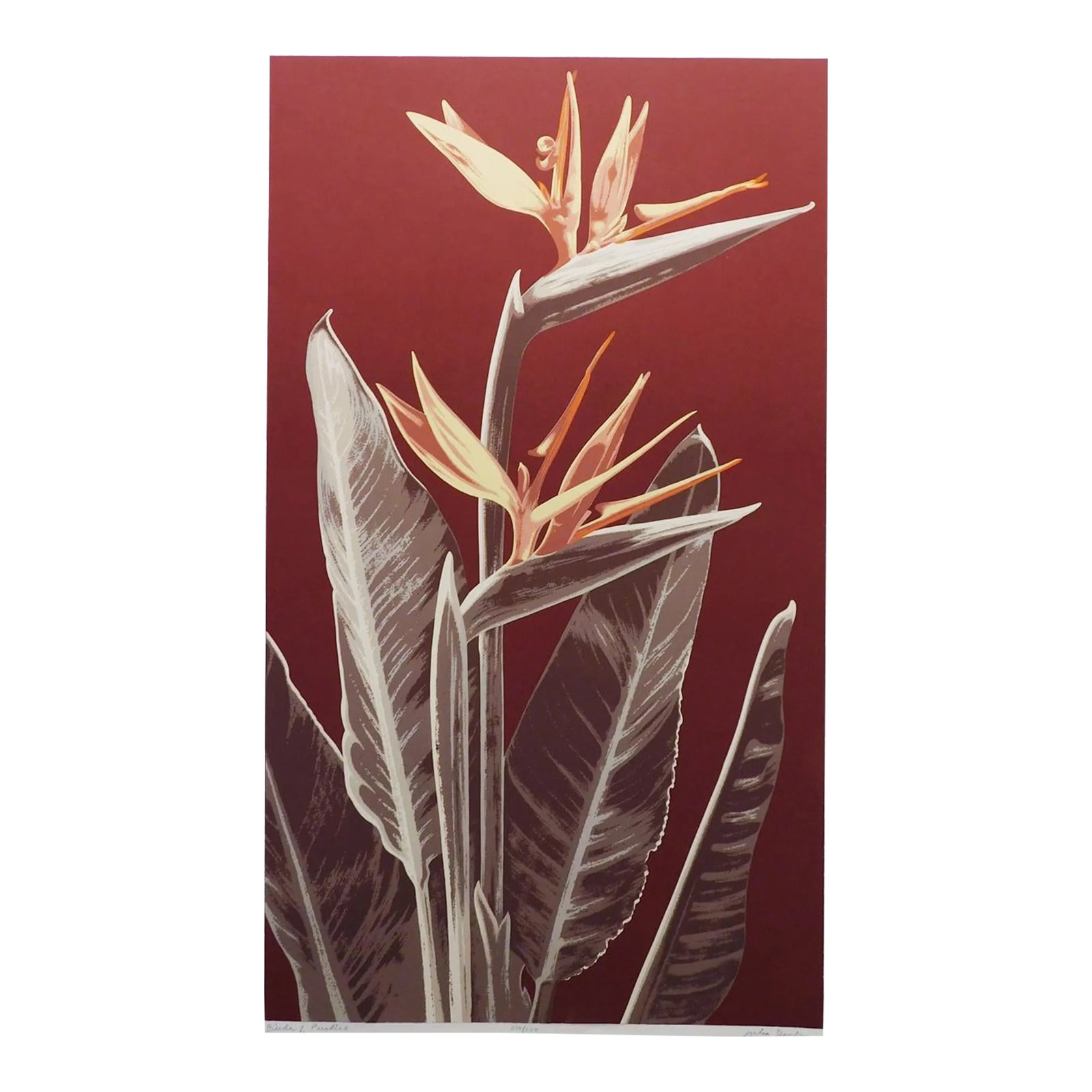 Jules Roch "Birds of Paradise" Hand Signed Art Serigraph | Chairish