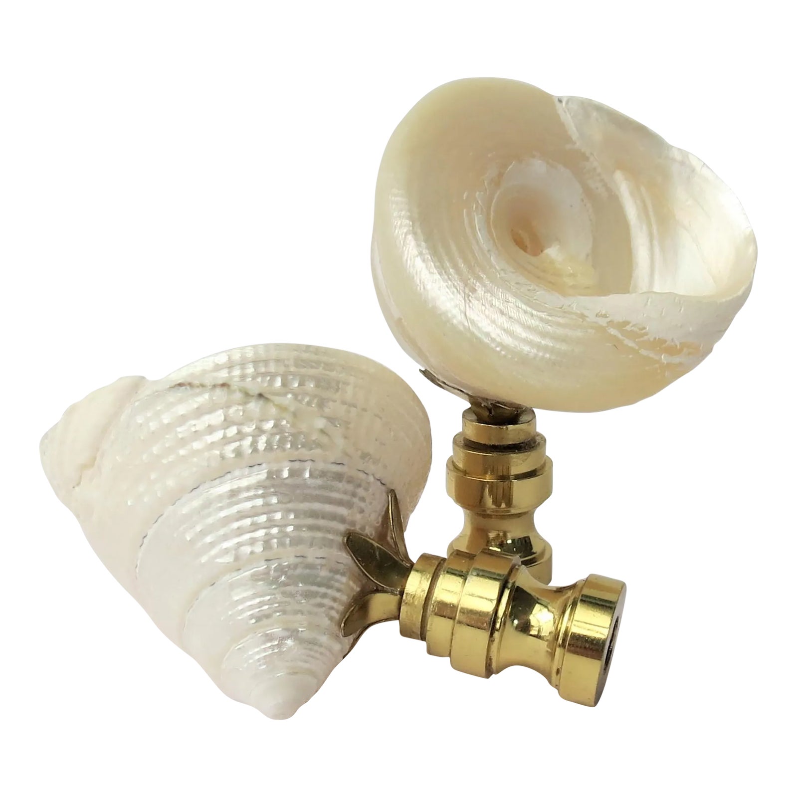 Ivory Pearl Fiji Shell Finials, a Pair by C. Damien Fox | Chairish
