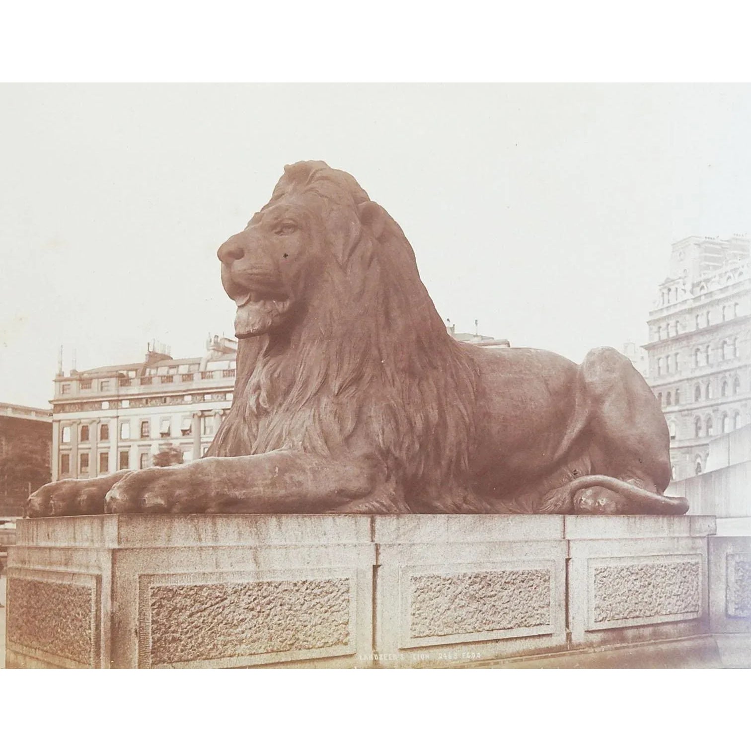 Antique 1880's Frith Photograph, London England Hyde Park Lion | Chairish