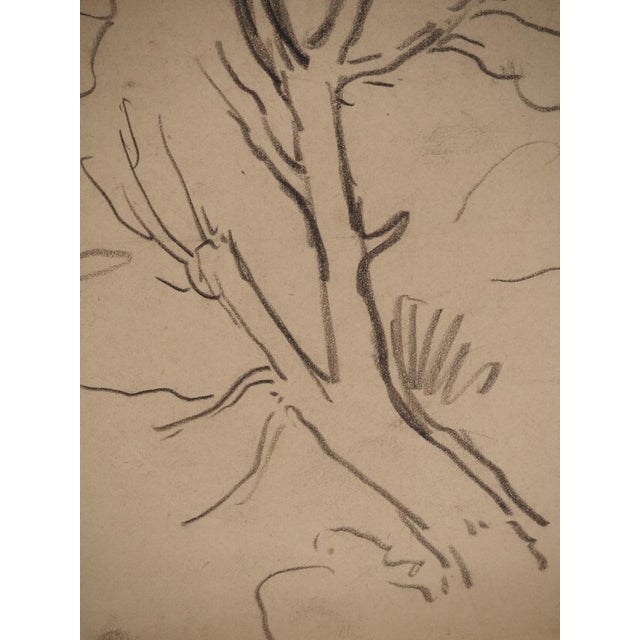 Maximilien Luce, Tree Branch, Original Signed Drawing | Chairish