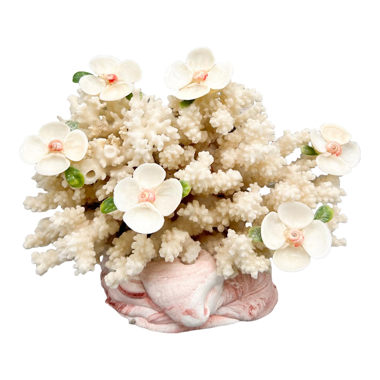 Folk Art Coral & Shell Flower Arrangement – Coastal Decor With Swirled ...
