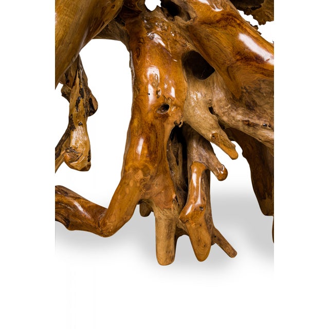 Rustic Tree Root Live Edge Lacquered Console Table | Chairish