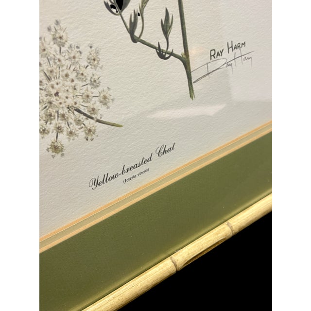 Ray Harm Vintage Bamboo Framed Bird Lithographs - Signed Pair | Chairish