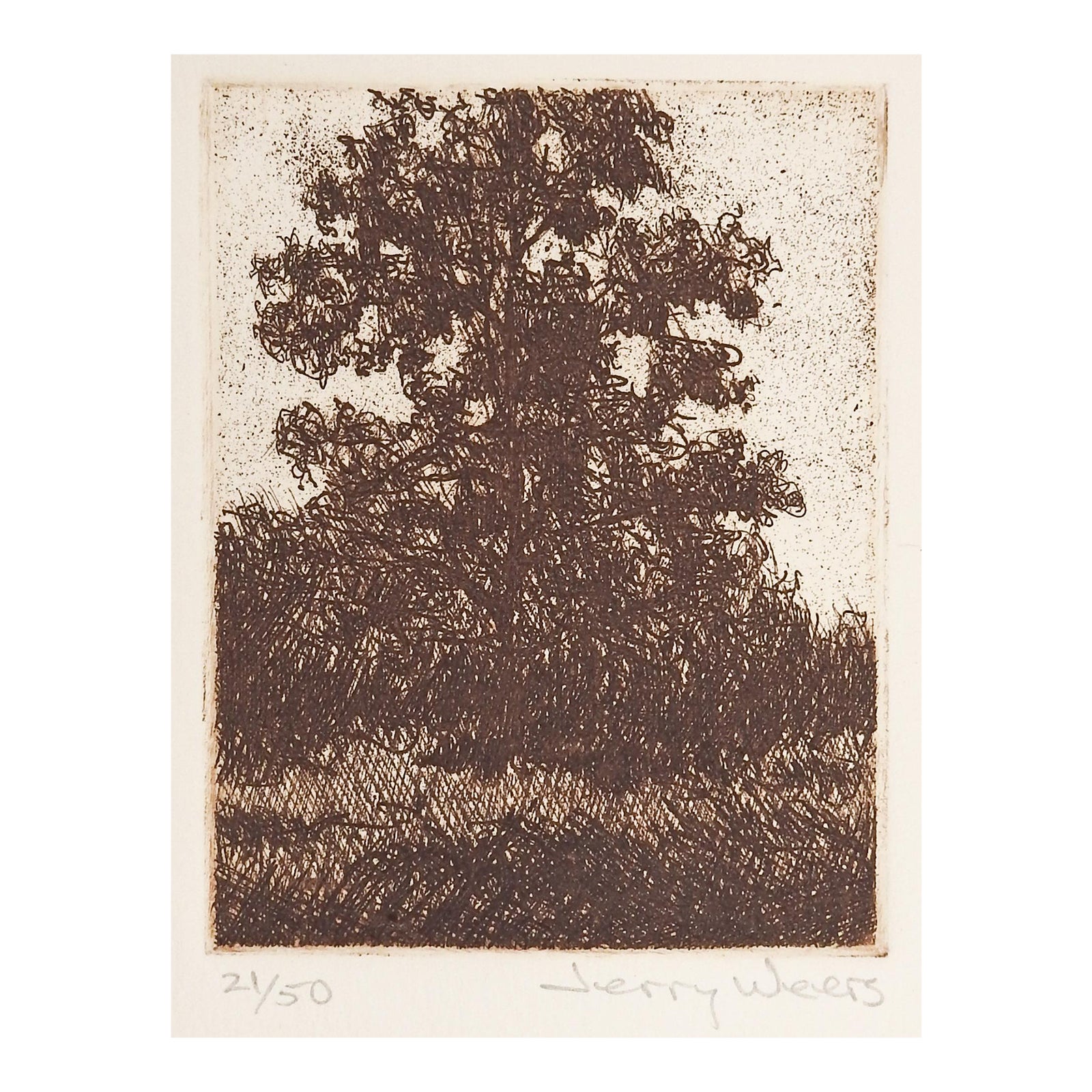 Lone Oak Tree Etching by Jerry Weers | Chairish