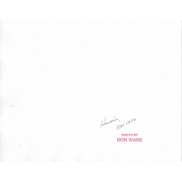 1972 Hawaii Beach Photograph by Don Ware | Chairish