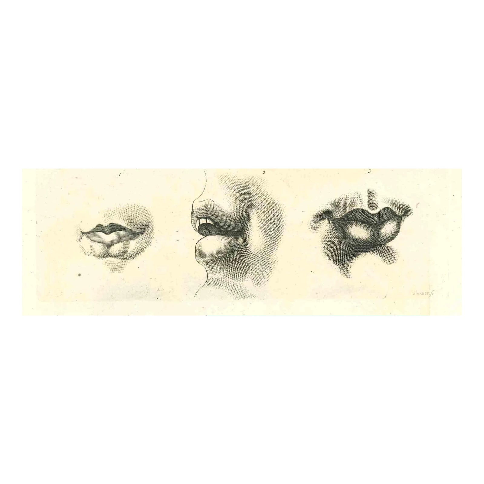 Thomas Holloway, Lips, The Physiognomy, 1810, Etching | Chairish