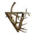 Vintage Elk Antler Hat and Coat Rack With Shelf | Chairish