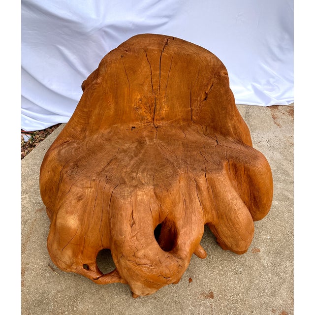 Rustic Teak Root Chair | Chairish