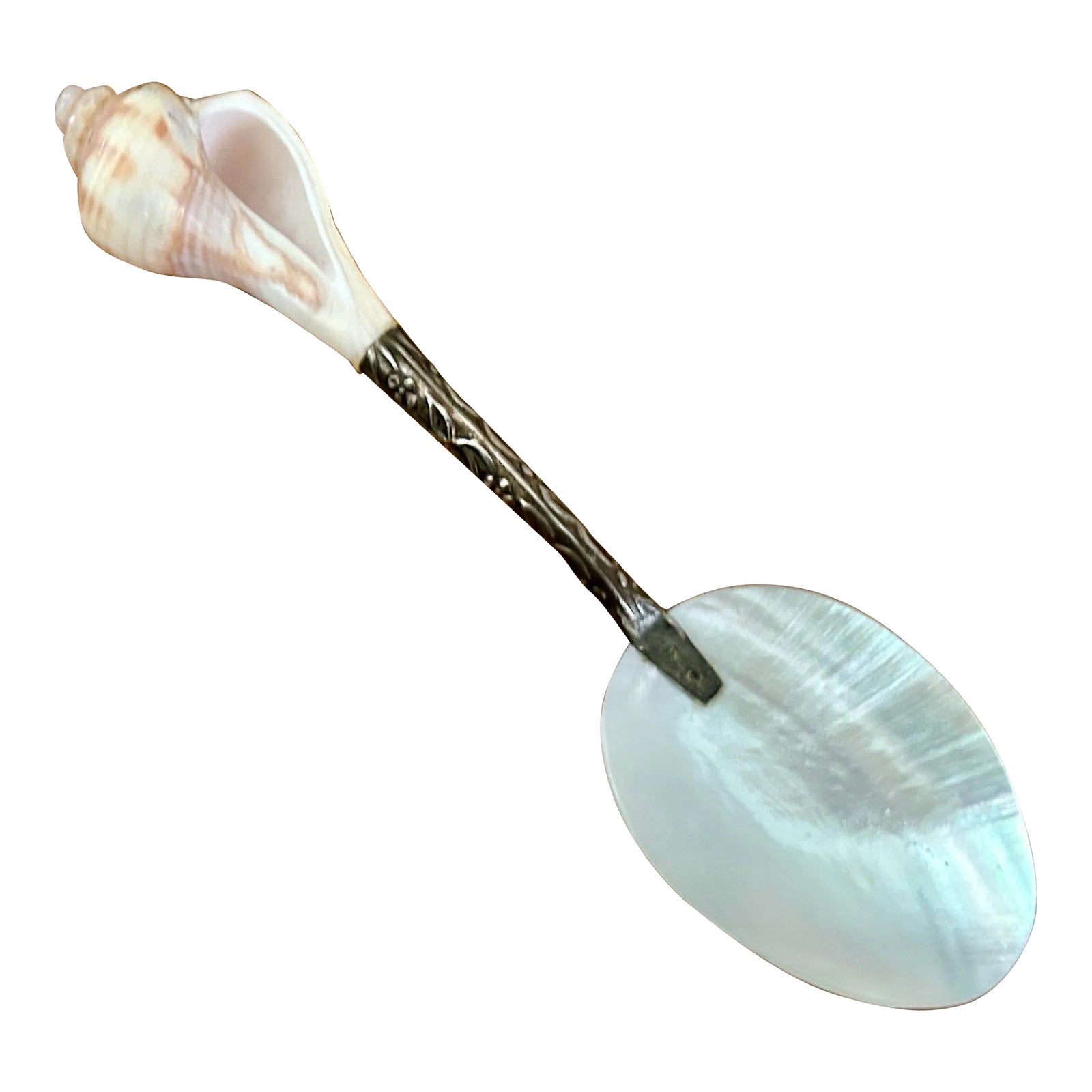 Mid 20th Century Silver-Tone Metal Shell Caviar Spoon | Chairish