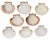 French Mediterranean Scallop Shells - Set of 8 | Chairish