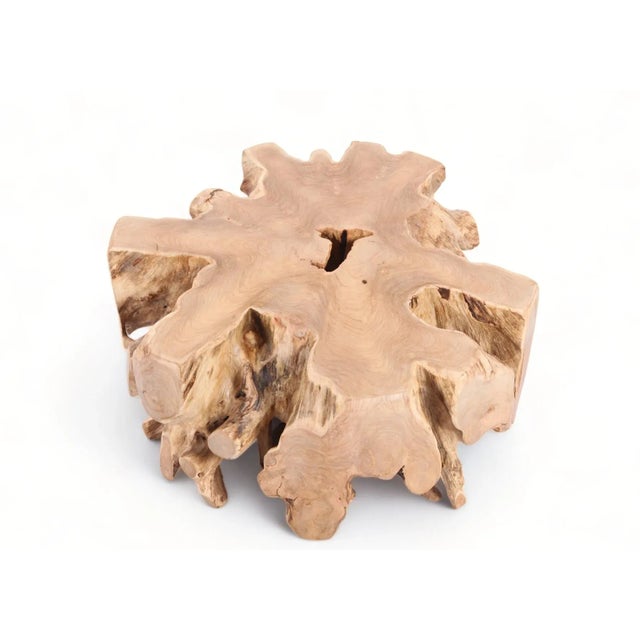 Round Teak Root Coffee Table 19 | Chairish