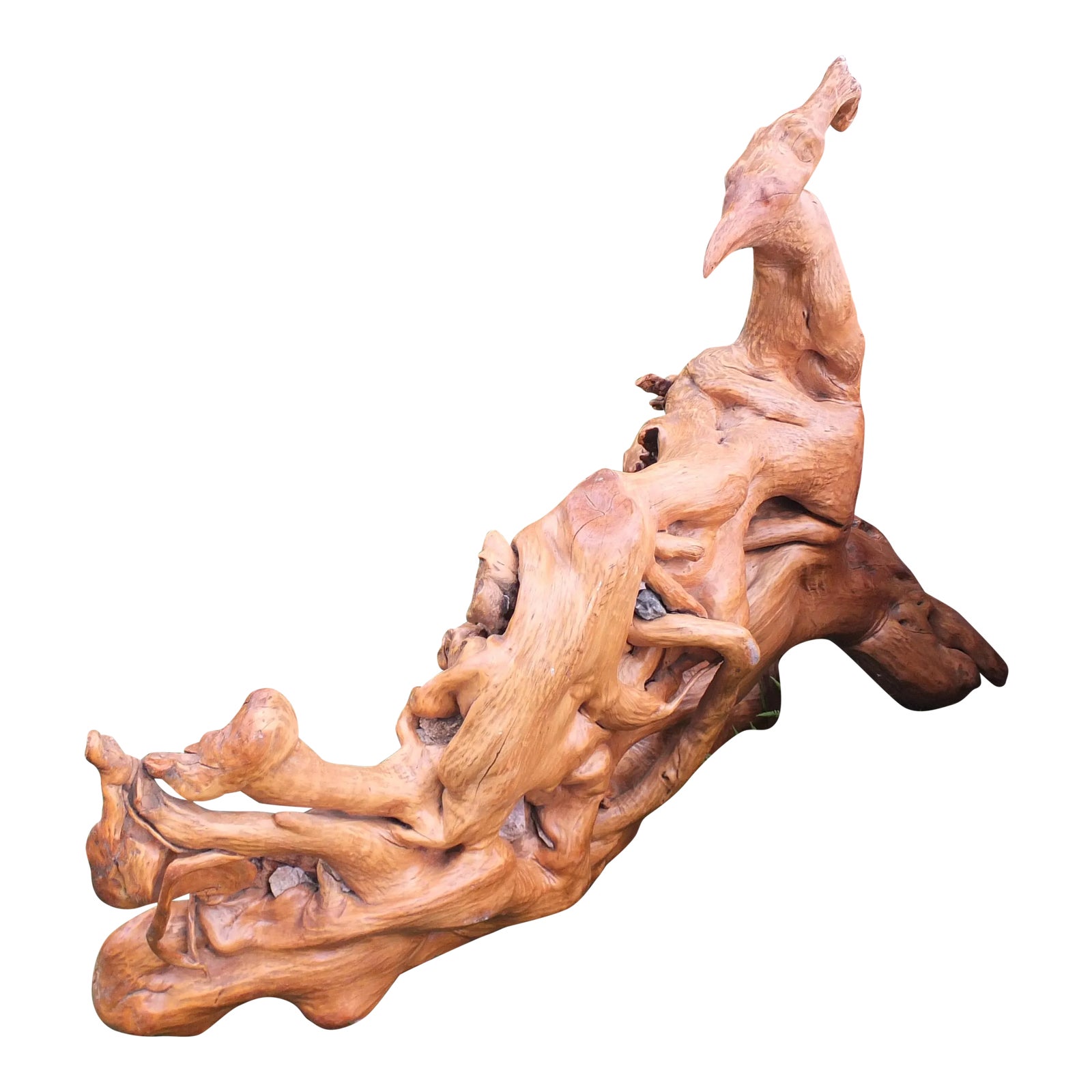 Rustic Bird Like Natural Tree Root Sculpture | Chairish