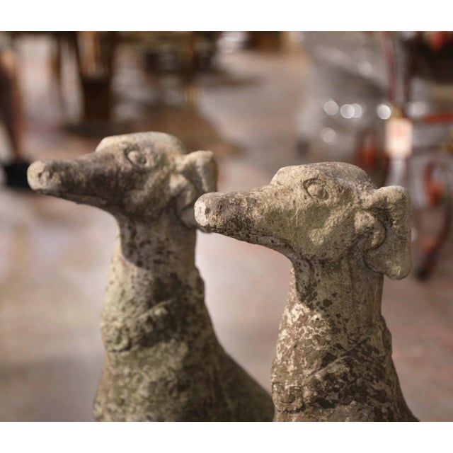 Vintage French Outdoor Weathered Carved Stone Greyhound Dog Sculptures ...