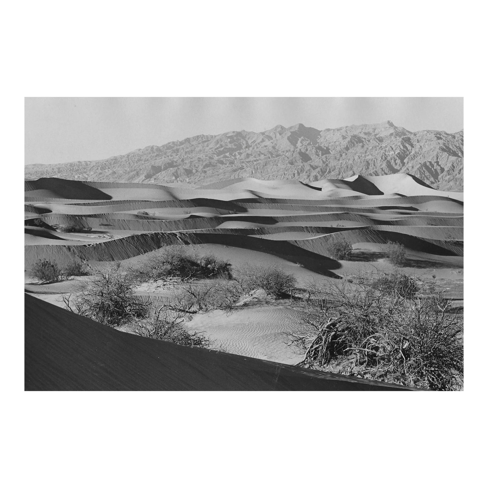 1980 Don Ware Death Valley California Photograph | Chairish