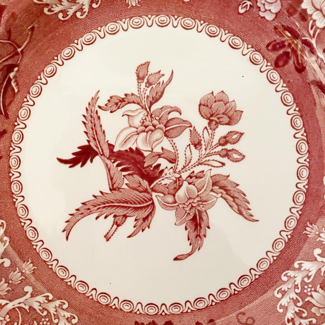Vintage Spode Pink Camellia Salad Plates- Set of 4 | Chairish