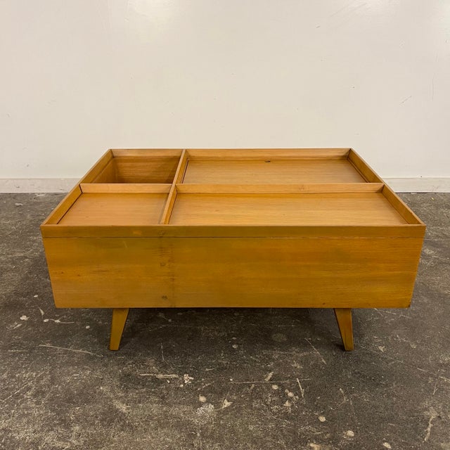 Edward coffee table with storage store