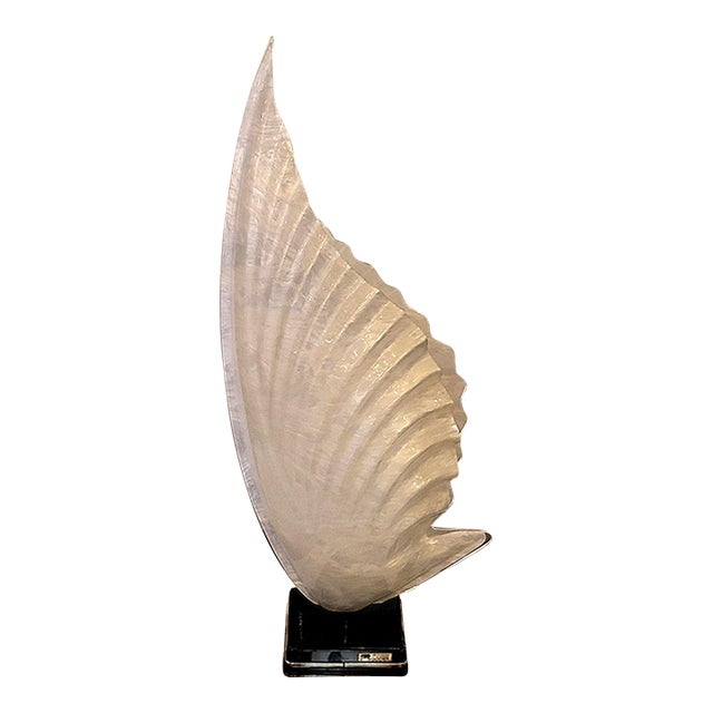 Large Shell Table Lamp by Rougier 1960 | Chairish