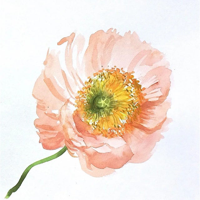 Pale Coral Poppy Floral, Watercolor Painting by Gretchen Kelly | Chairish