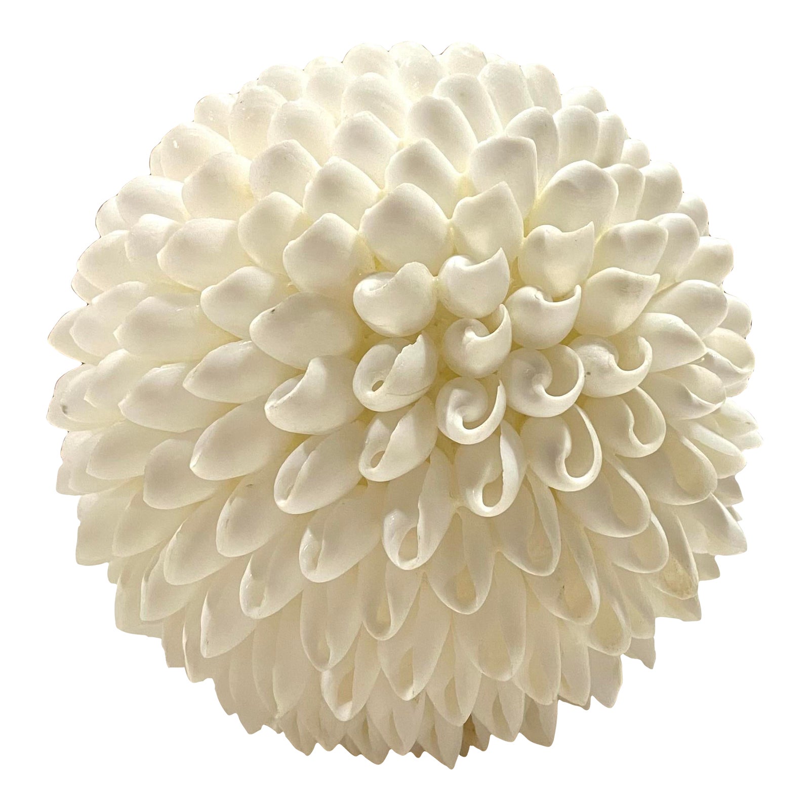 White Sea Shell Ball Vintage 1990’s | Chairish