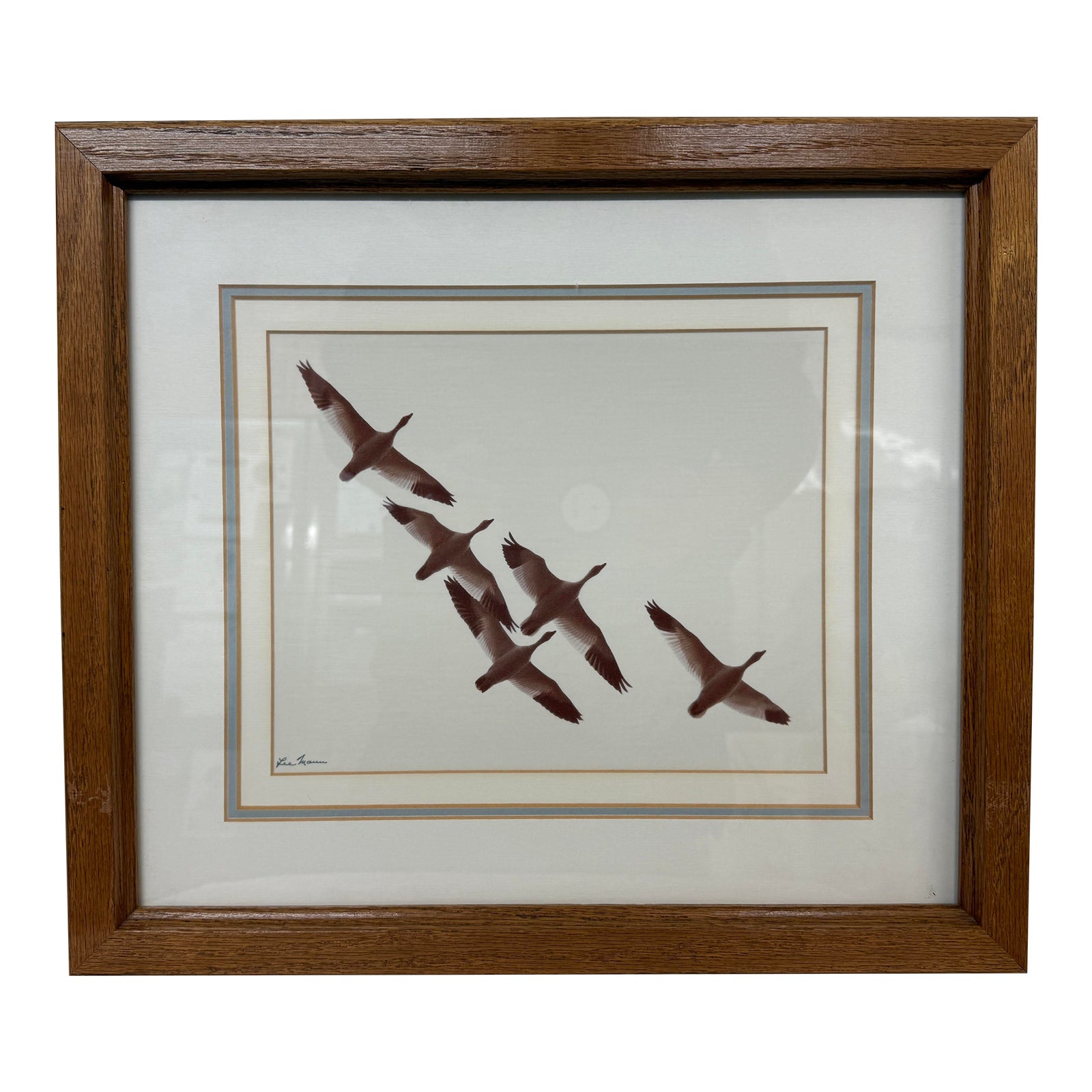 Lee Mann "Snow Geese in Flight" Original Photographic, Framed | Chairish