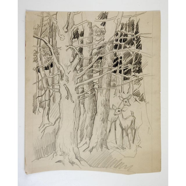 Vintage George Baer Pencil Study of Deer in Forest Drawing | Chairish