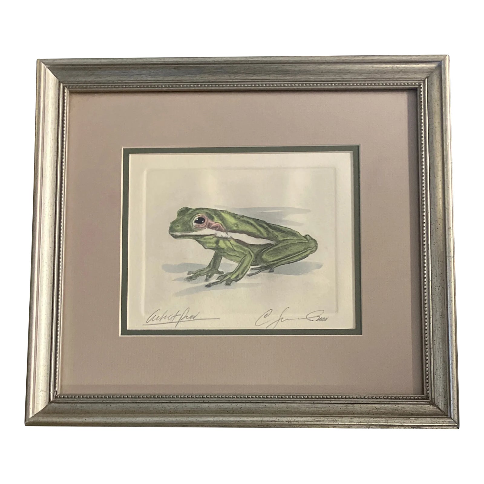 Contemporary Original Colored Etching Frog Print Signed & Framed | Chairish