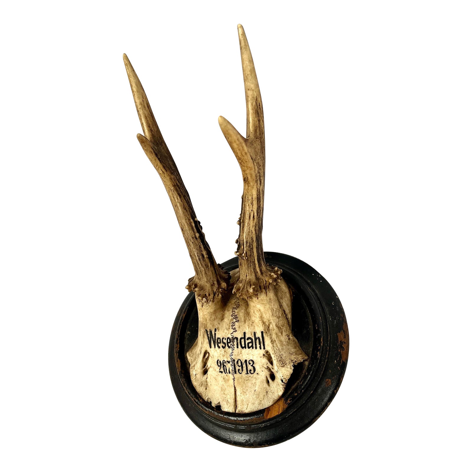 Antique German Roe Deer Antlers Dated 1913 on Decorative Plaque | Chairish